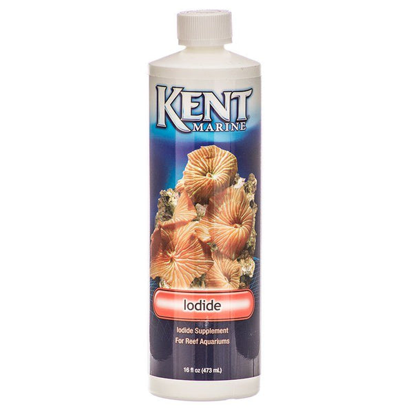 Kent Marine Super Iodide Concentrate – neighborlypets.com