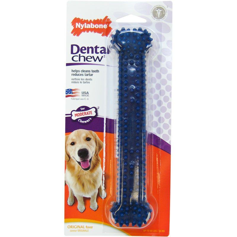 Nylabone Dental Chew Bone - Chicken Flavor – neighborlypets.com